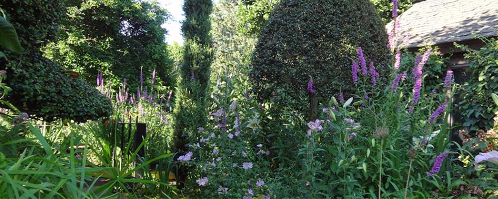 The Woman’s Influence - The Southampton Garden Club